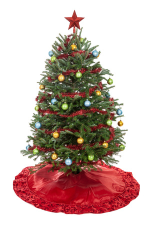 The Ultimate Guide To The Perfect Christmas Tree | Tips | Twin Cities ...